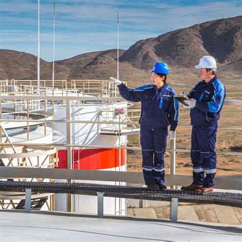 петровис утас холбоо барих