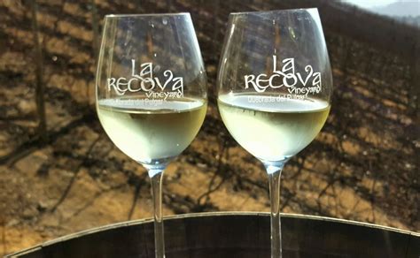Agosto terá evento de Vinhos Chilenos no Rio - Novo Chile Wine Weekend ...