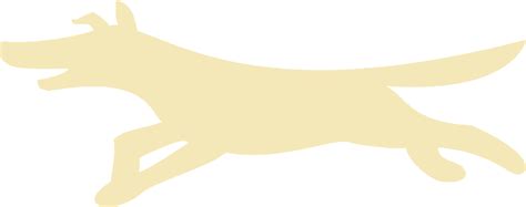 Web Development Blog Fetch Designs