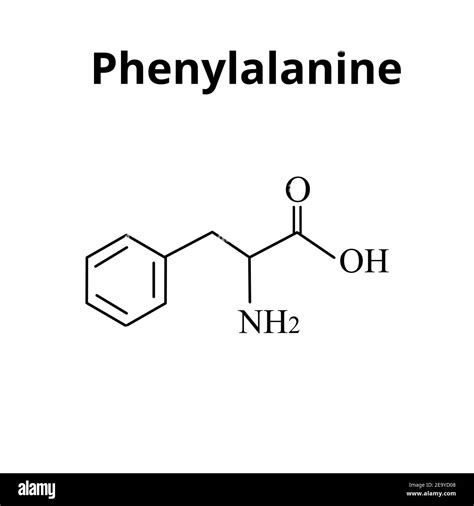 Phenylalanine Is An Amino Acid Chemical Molecular Formula Phenylalanine Amino Acid Vector
