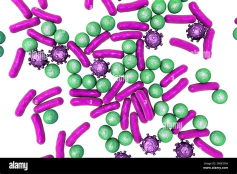 Bacteria And Viruses Of Different Shapes Computer Illustration Stock