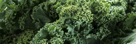 Phytic Acid Does What Phytic Acid Is A Naturally Occurring… By