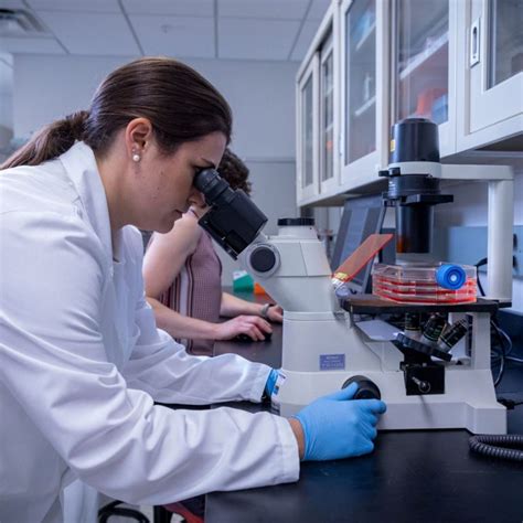 Adherent Cell Culture Basics Cell Seeding Expanding And Harvesting