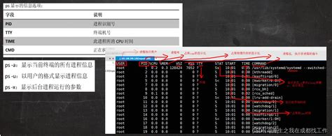 Linux 进程管理 Csdn博客