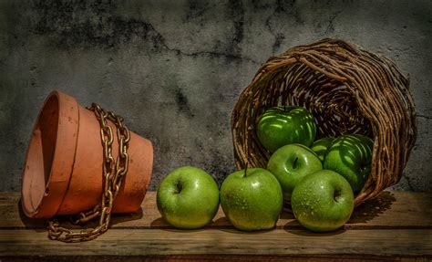 Green By Maggie Photography 500px Green Still Life Photos Photography