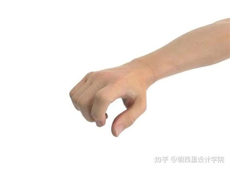 Keyshot渲染丨15款真实人物手部渲染源文件 知乎