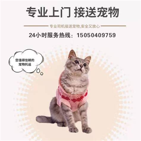 托运案例 苏州宠物托运公司