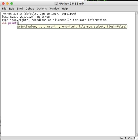 IDLE Python Shell Xterm Window On Mac OS