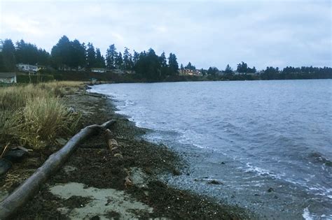 Coastal Flood Risk Assessment Guidelines For Building And Infrastructure Design Ebbwater