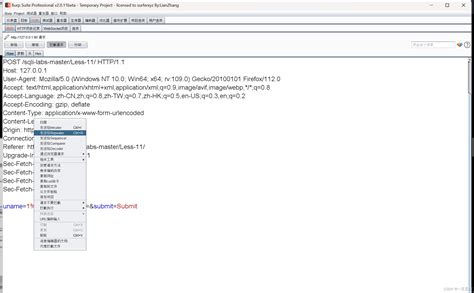 Sqli Labs第十一关sqli Labs第11关为什么11和12页面都没有回显 Csdn博客