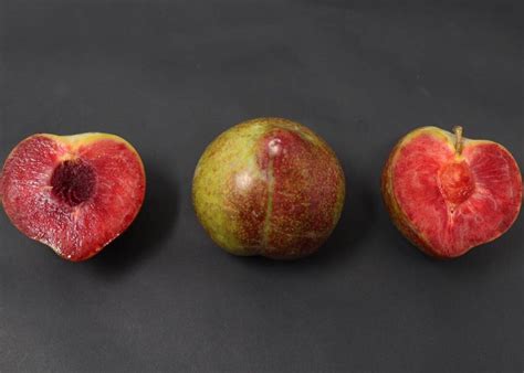 Us Fruit Importer Captivated By Unforgettable Sa Watermelon Plums