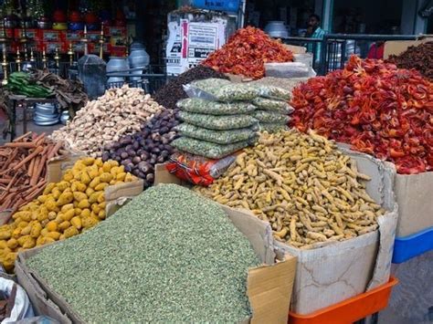 Cómo Cultivar El Cardamomo Y Qué Tipo De Planta Es