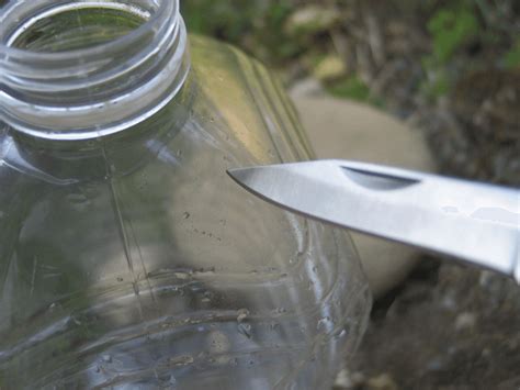 DIY Small Game Trap Learn To Build A Better Mousetrap