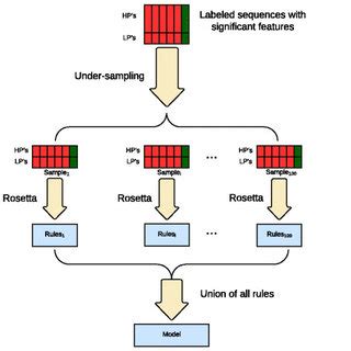 Schematic Representation Of The Applied Computational Modeling