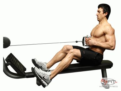 Seated Row Exercise MyFit