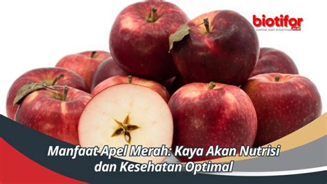 Manfaat Apel Merah Kaya Akan Nutrisi Dan Kesehatan Optimal