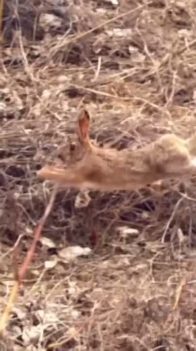 Pramit Kumar Posted On Linkedin