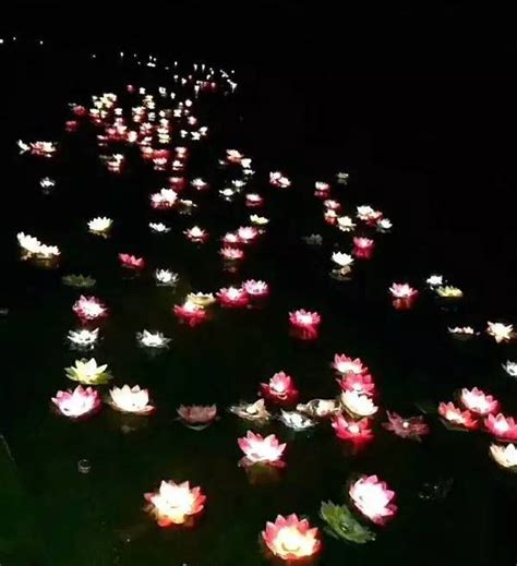 我们的节日 中元节来黄河岸边点亮一盏祈福的河灯灯会
