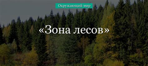 Зона лесов 4 класс окружающий мир