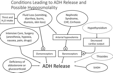 Osmolality Sodium Potassium Chloride And Bicarbonate Anesthesia Key