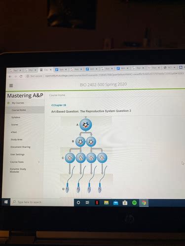 A P Ch Flashcards Quizlet