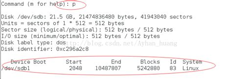 linux下查看硬盘信息、硬盘分区、格式化、挂载、及swap分区 liunz如何查看磁盘格式化类型 csdn博客