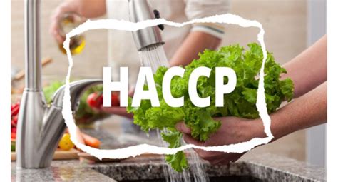 What Is HACCP The Seven Principles Of HACCP