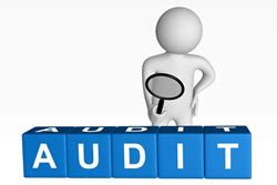 Difference Between Audit And Investigation Audit Vs Investigation