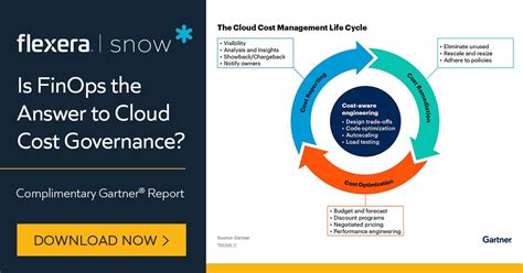 Ivan Ruiz On Linkedin Cloud Finops Gartner Itleadership