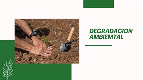 Tomi Digital Degradacion Ambiental