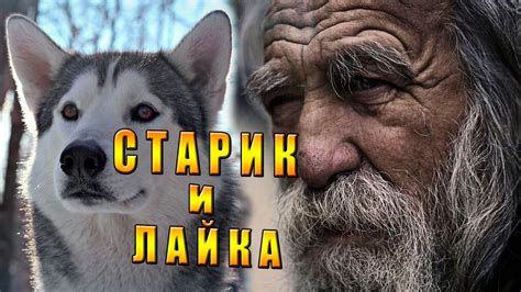 /История девяностолетнего охотника !/ - YouTube