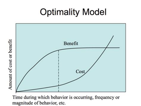 Optimality Theory And Game Theory Flashcards Quizlet