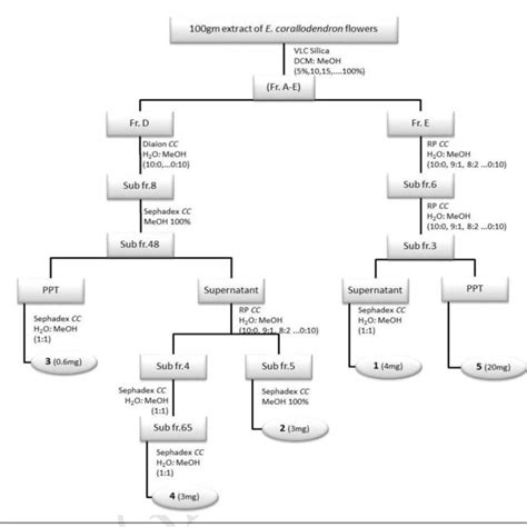 Flow Chart Of Fractionation And Isolation Of Compounds From 70 Download Scientific Diagram
