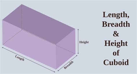 Cuboid Shape And Properties Geeksforgeeks