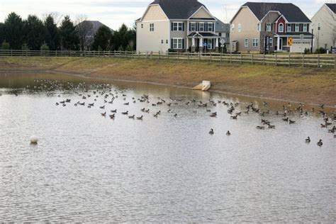 Stormwater Management Retention And Detention Ponds