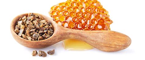 Propolis Nedir Propolis Faydaları Nelerdir