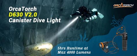 Advances In Photogrammetry Reduce Cost Of Underwater 3d Modelling Indepth