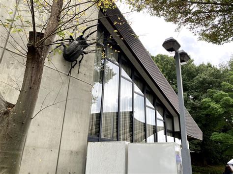子連れのお出かけに奈良の橿原にある橿原市昆虫館と香久山公園