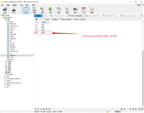 Canal的安装搭建 W我自横刀向天笑 博客园