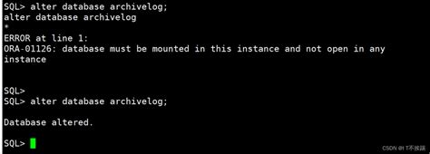 Oracle 19c Rac 使用nfs搭建节点归档目录oracle 19c 设置归档 Csdn博客