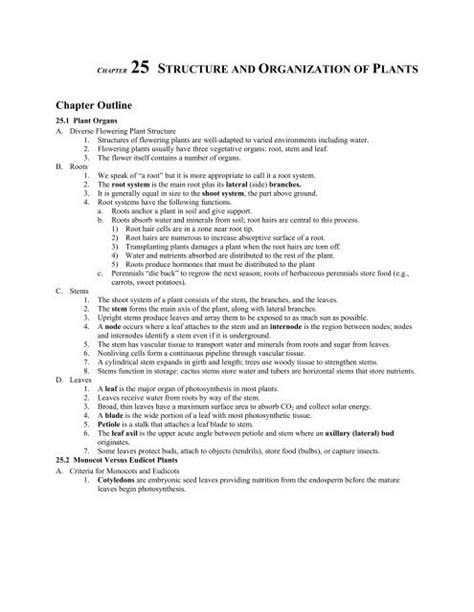 Plant Structure And Function Answers