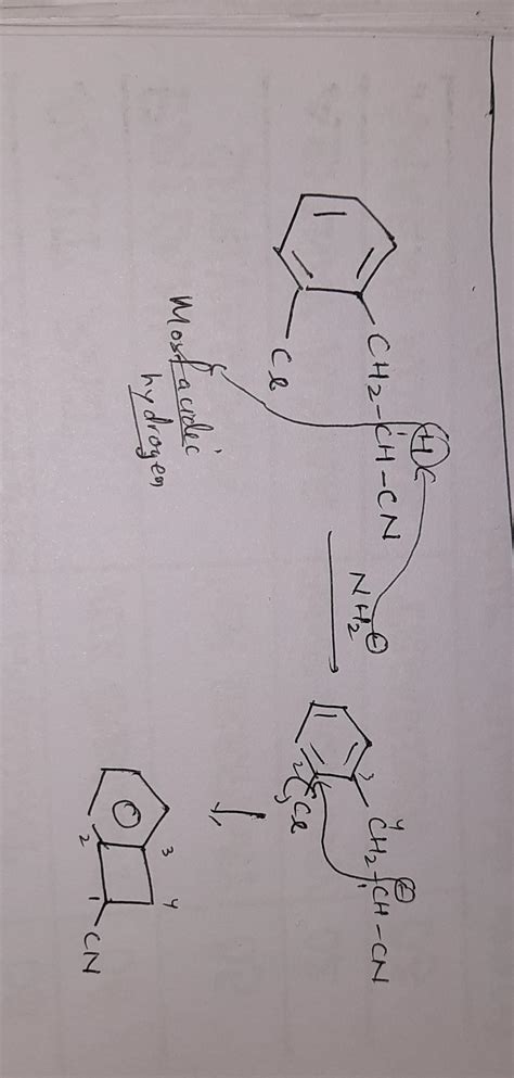 Predict The Product Of The Reaction Chchcn Knh2 Ci Chchcn A A Nh2