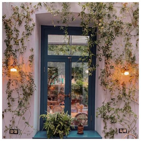 ნინიას ბაღი • Ninias Garden