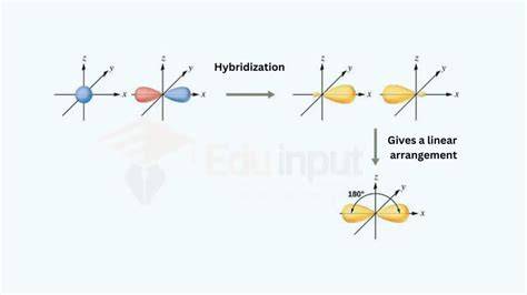 Sp Hybridization Definition Explanation Examples And Significance