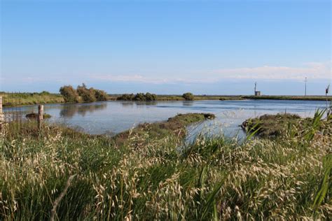 Valli Di Comacchio