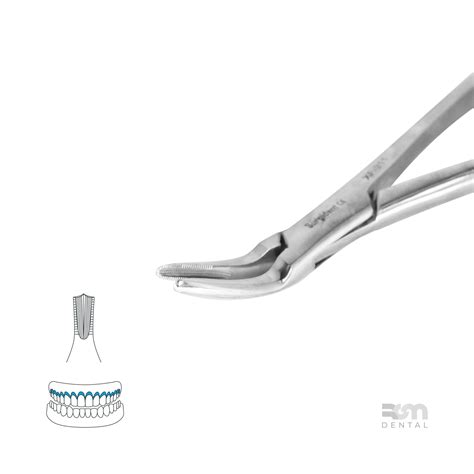 Root Forceps 300 Upper Root Fragments