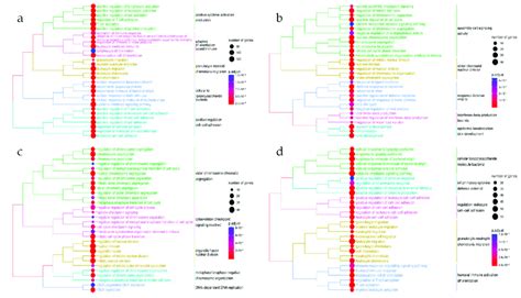 Enriched Reactome Pathways Of Down Regulated Genes In A Ibd B Pso Download Scientific