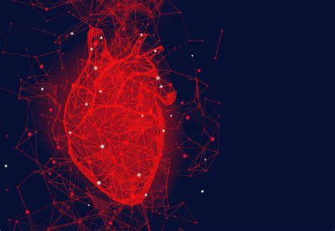 Thousands Of Cardiac ‘digital Twins Offer New Insights Into The Heart