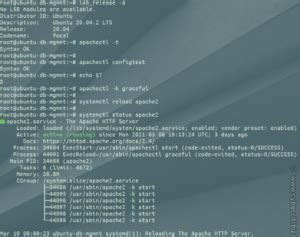 Apache Reload Httpd Configuration Without Restarting It Nixcraft