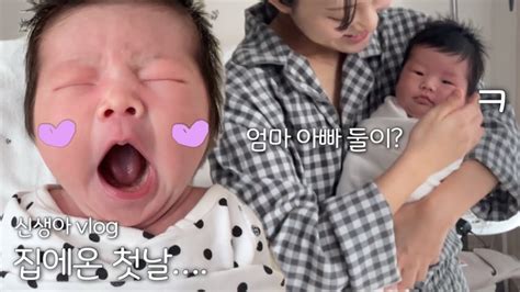 Vlog 산후도우미 없이 신생아키울 수 있겠지 강아지와 아기의 첫만남 ♥ 신생아 육아 브이로그 👶🏻 Youtube